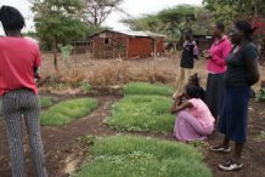 Youths in Isiolo shifting from pastoralism to modern agriculture ...